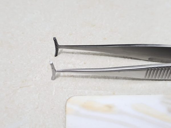 Green Fixation Forceps 10cm - Libra Surgical Instruments